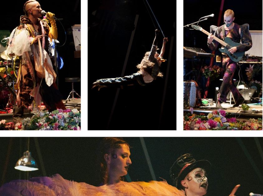 Le Cirque Queer à Lyon : un Spectacle Hors Normes qui Casse les Codes ...